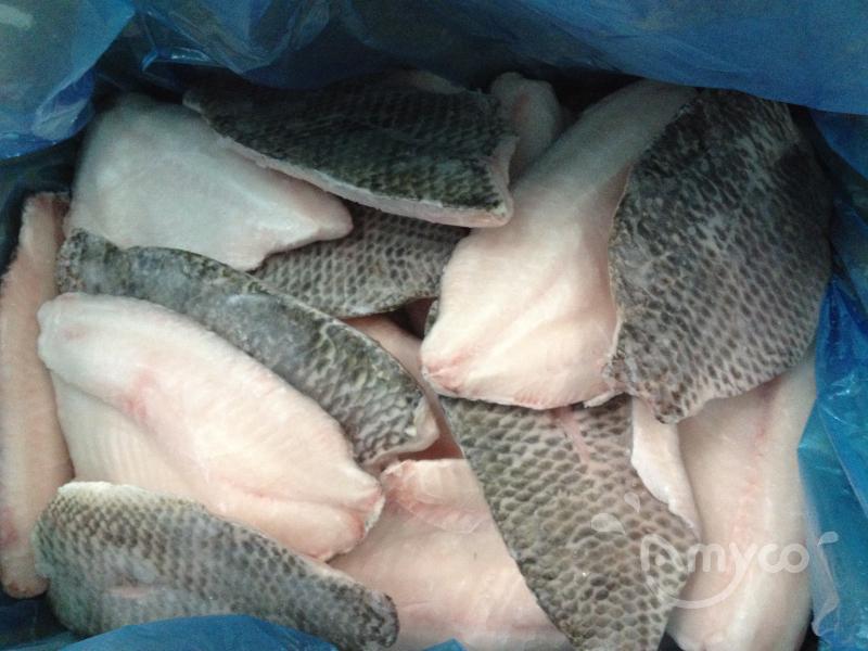 Tilapia Fillet Skin On