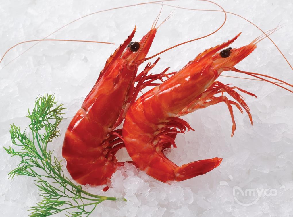 Vannamei Shrimp-China Professional Shrimp producer/manufacturer/factory ...