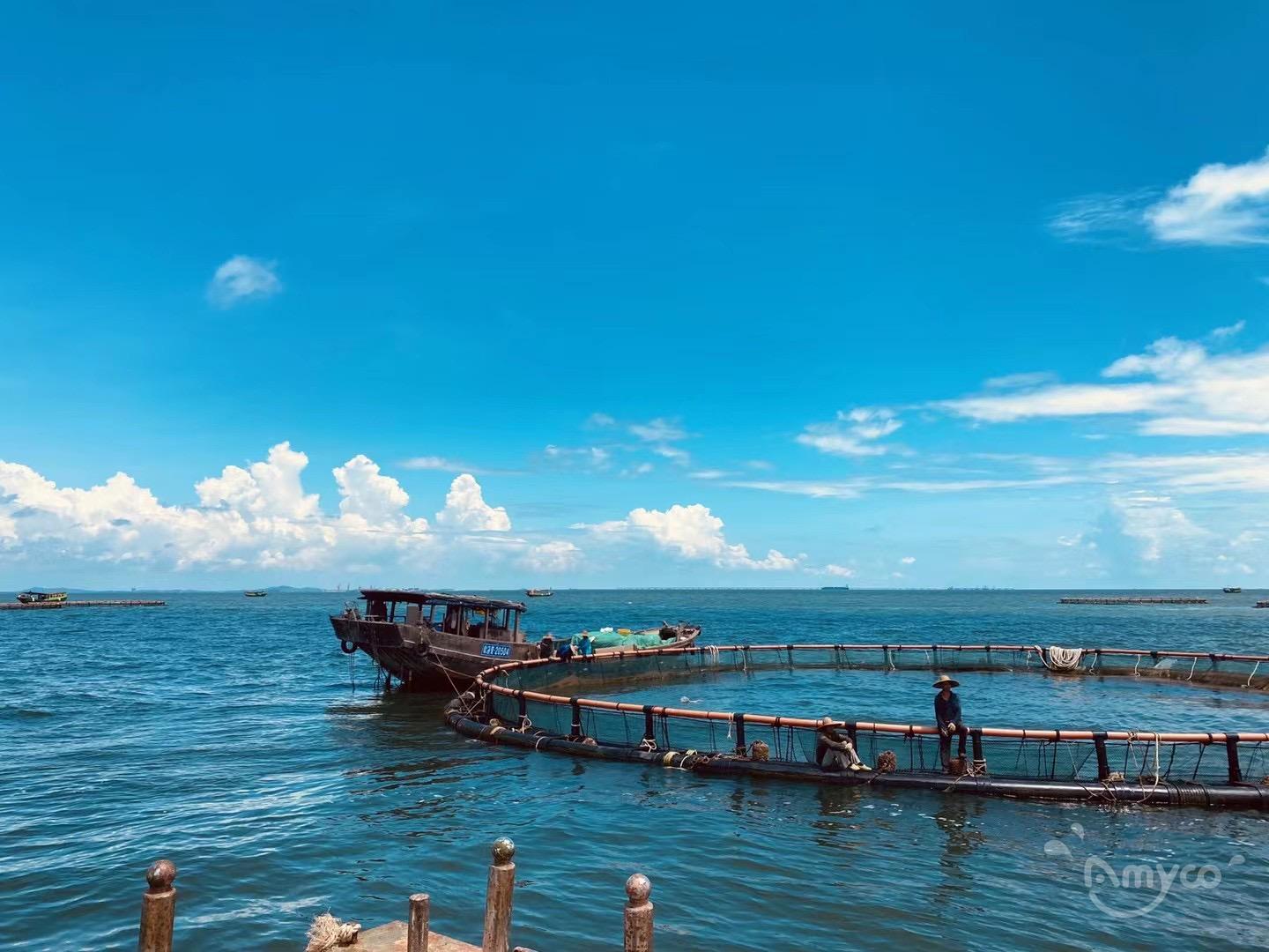 What makes the Pompano so Special?